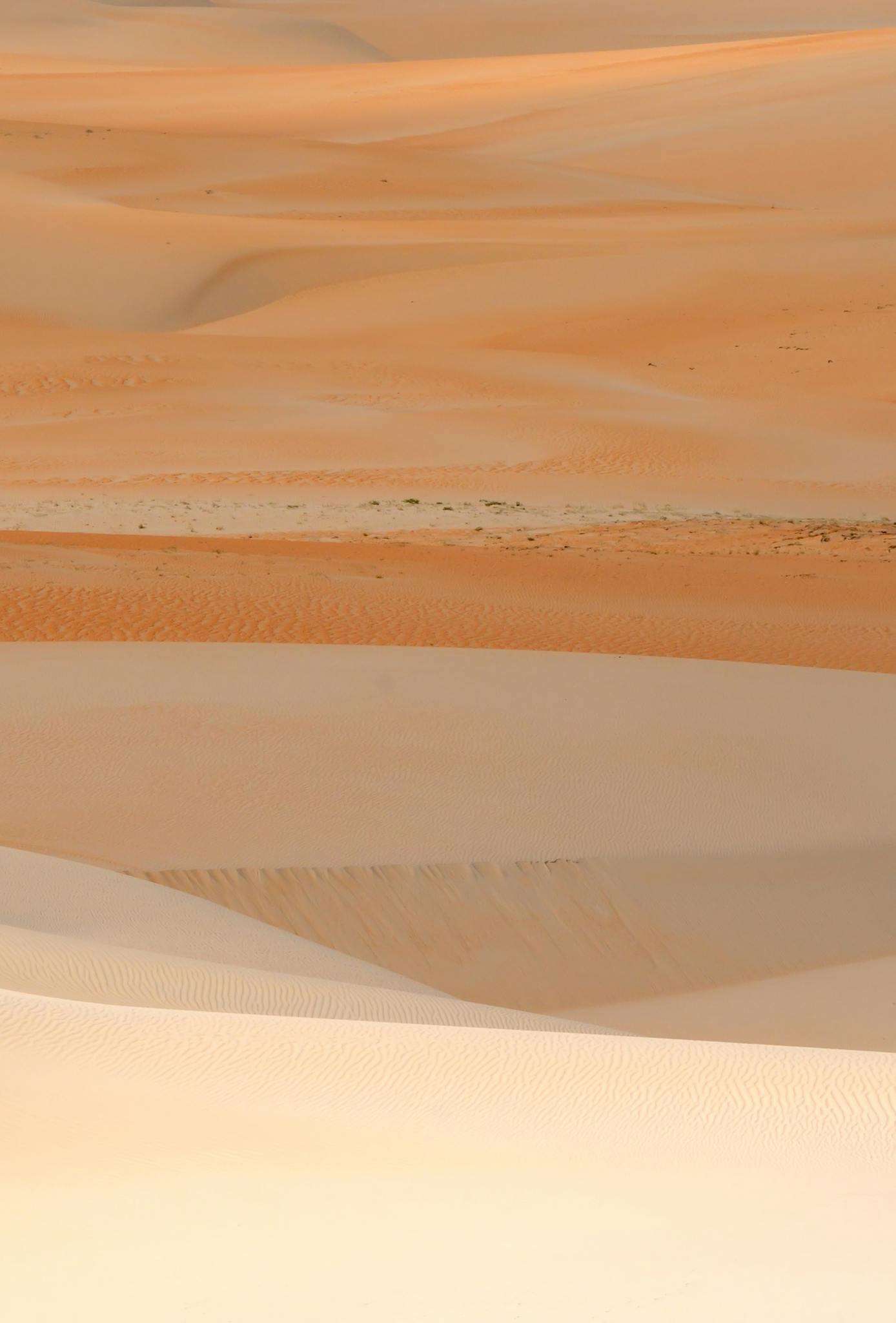 Rammed Earth: A Timeless and Sustainable Construction Technique | ArchUp