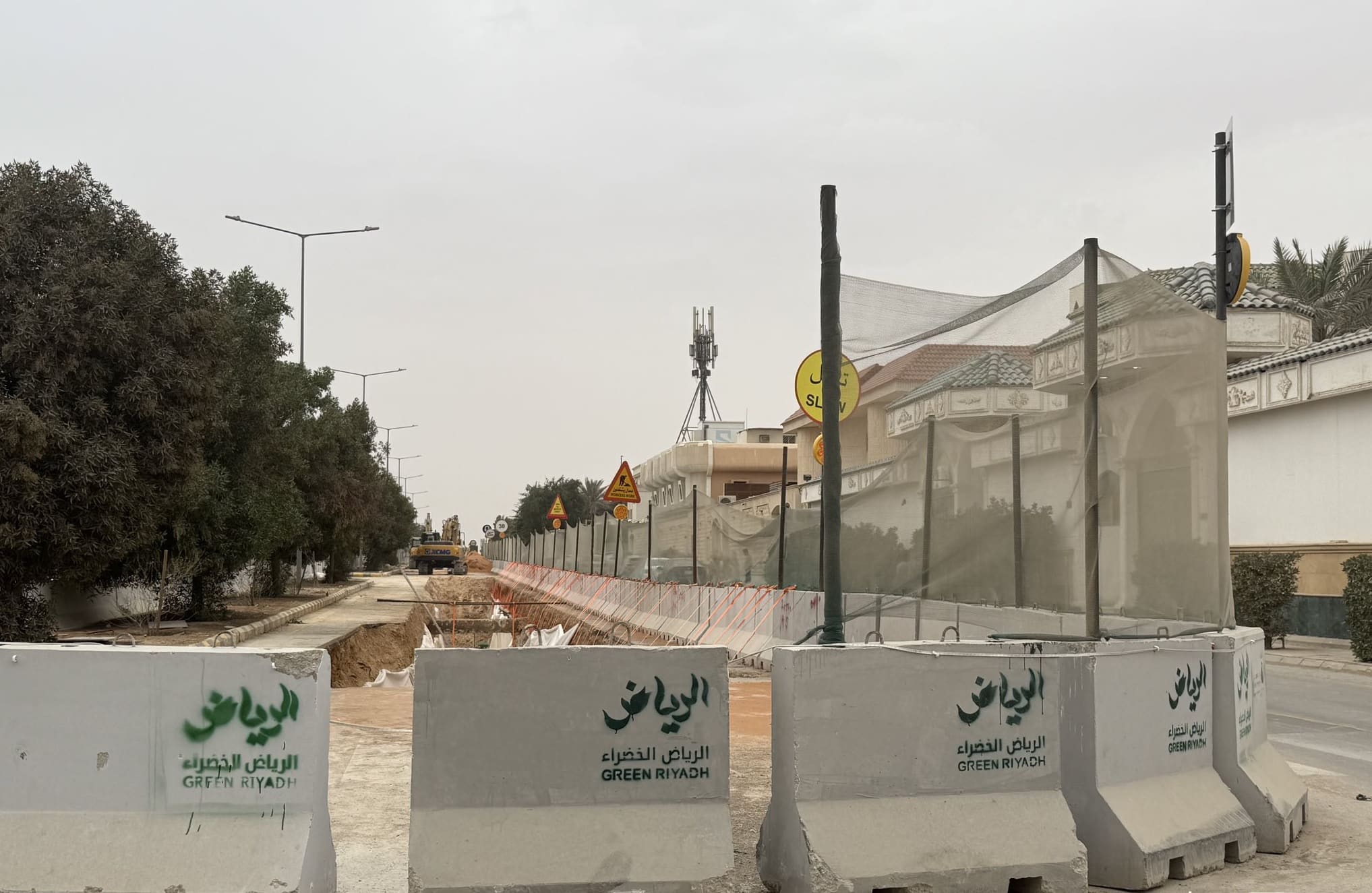 Green Riyadh Program: Enhancing Urban Sustainability