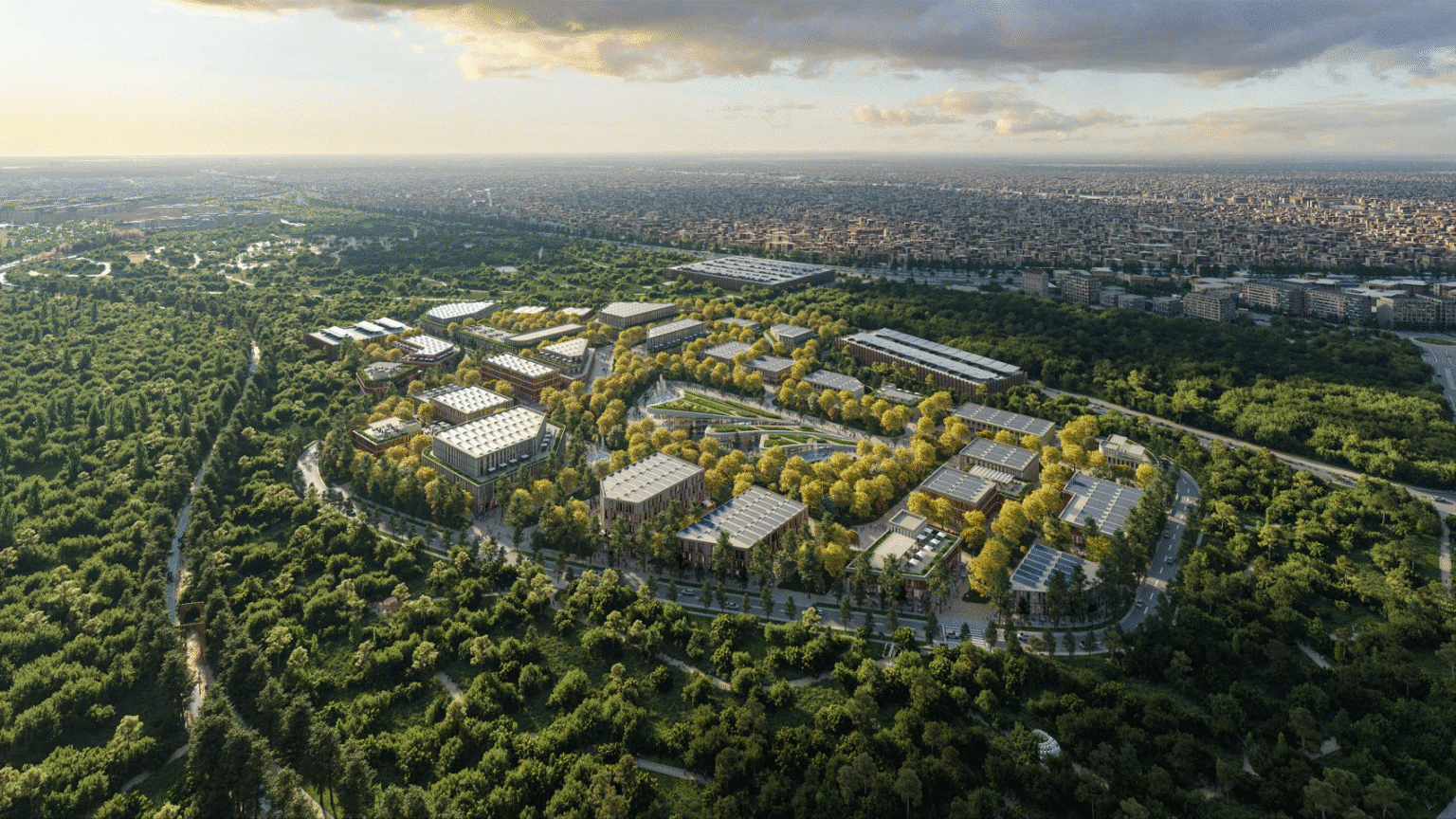 Baghdad Sustainable Forests: An Urban Eco-District with One Million Trees