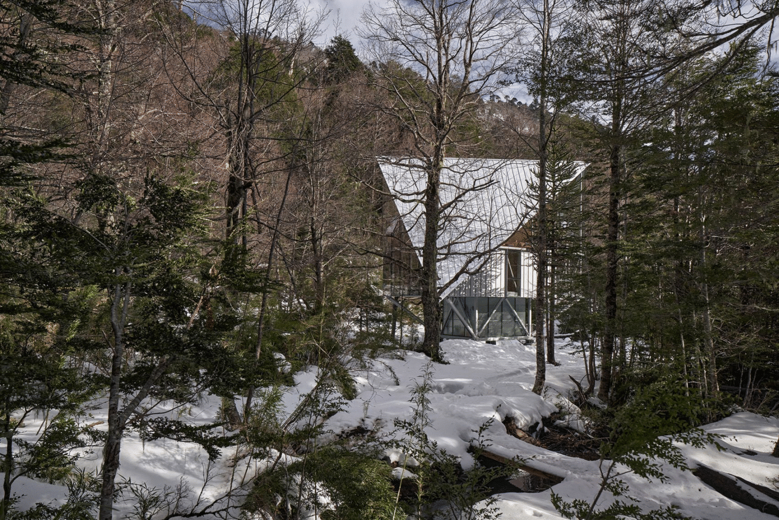 Steel House by Max Núñez Arquitectos in Chile