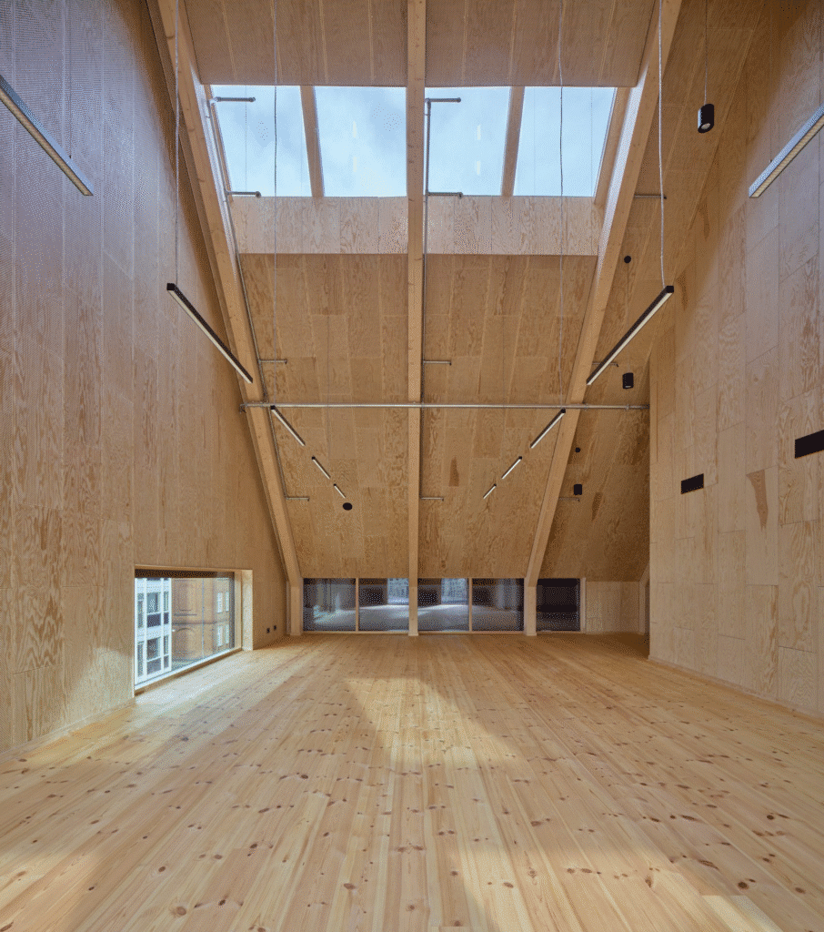 Dorte Mandrup’s Centre for Health: A Community-Focused Timber Sanctuary ...