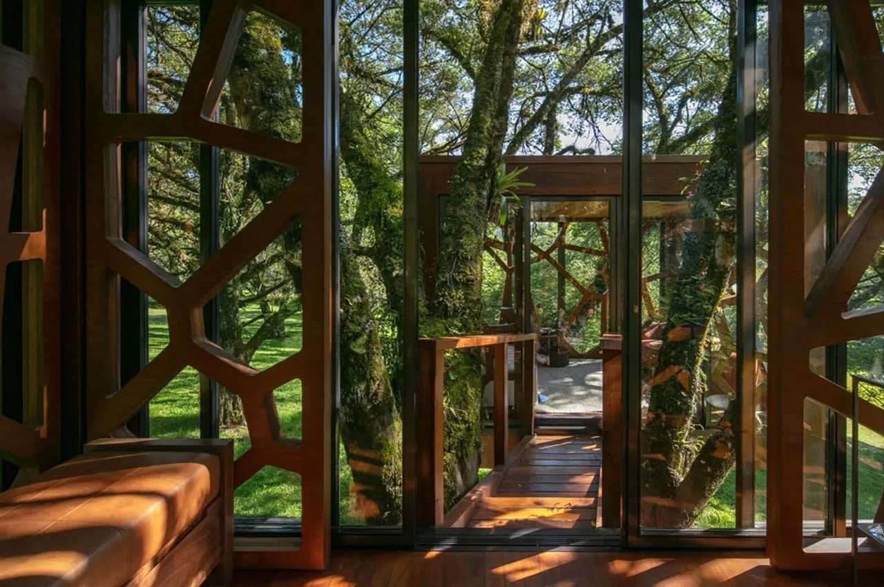 Monte Verde Treehouse: Nature Meets Architecture | ArchUp